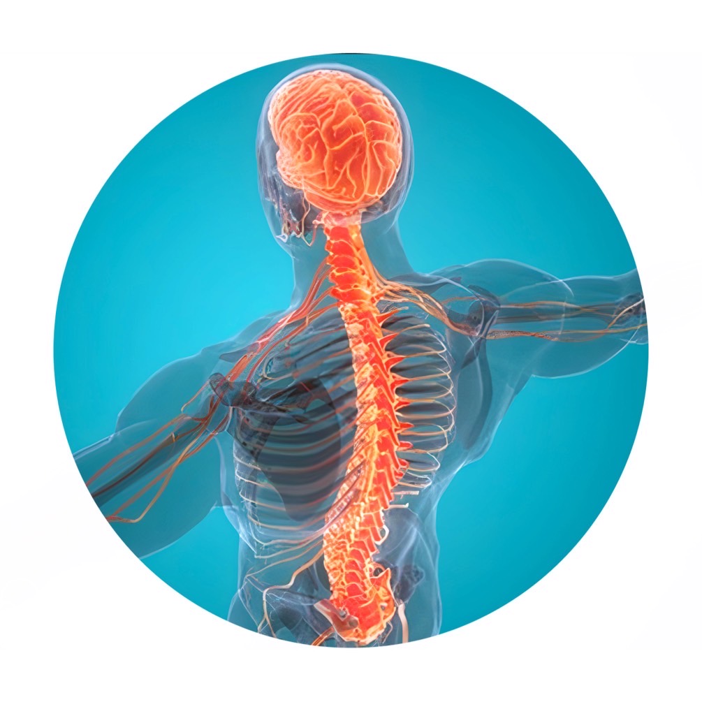 DiSrEfLeXia AuToNoMa ( Usuario silla de Ruedas) – FLY-URRUN